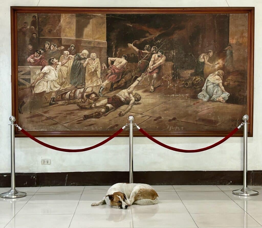 ‘Chikoy’: Cebu City’s beloved library dog