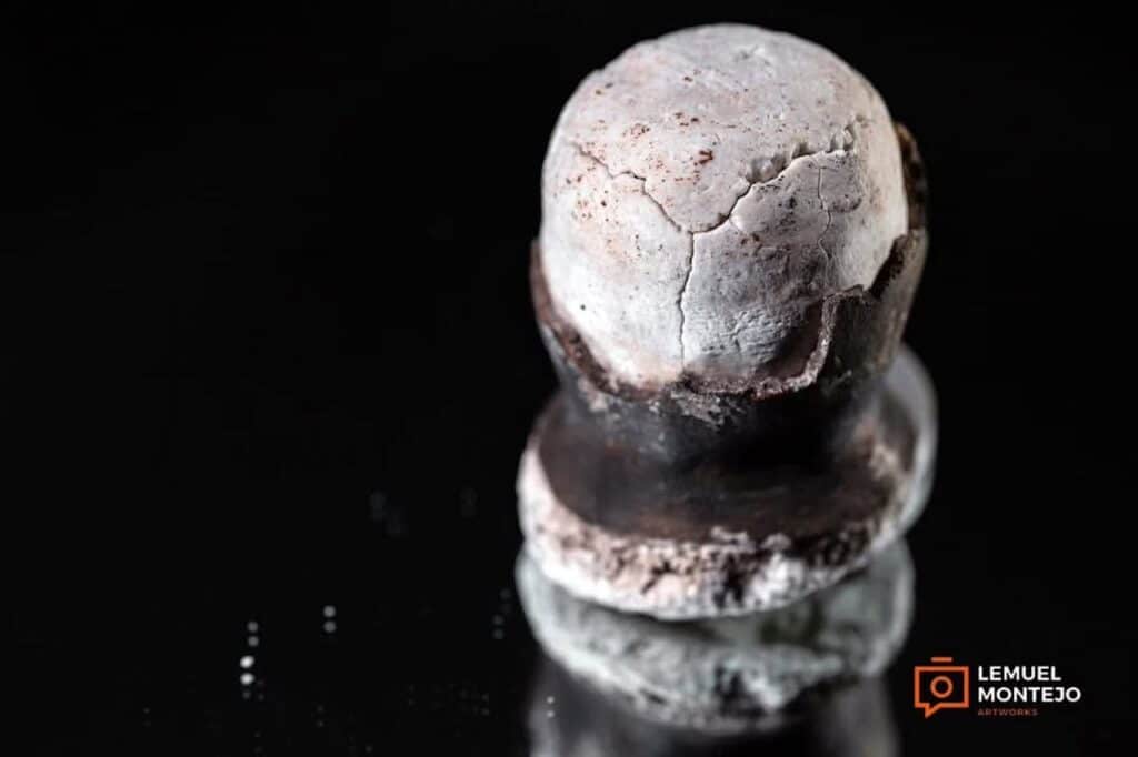 Asin Tibuok: A Heritage Ingredient Fighting for its Survival