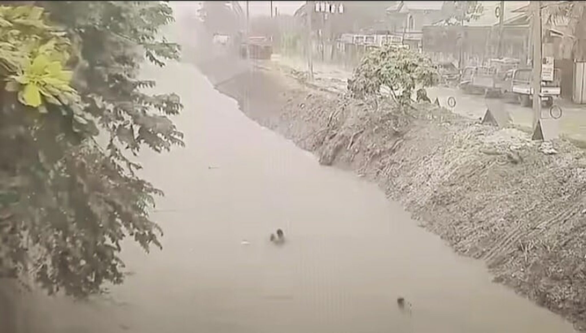 Butuanon River: Swimming strictly prohibited - Mandaue execs