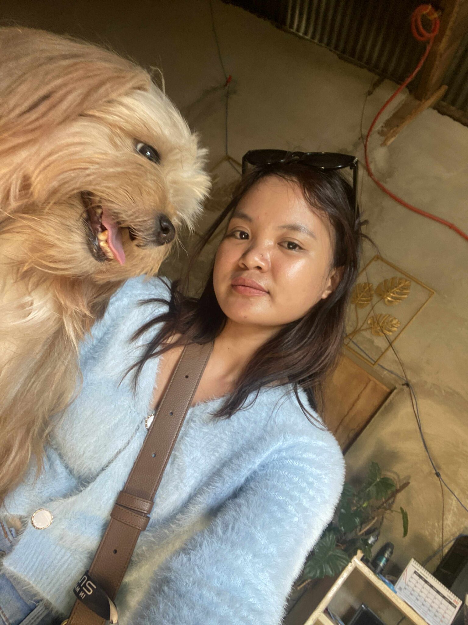 They’re more than pets, they’re family | Cebu Daily News