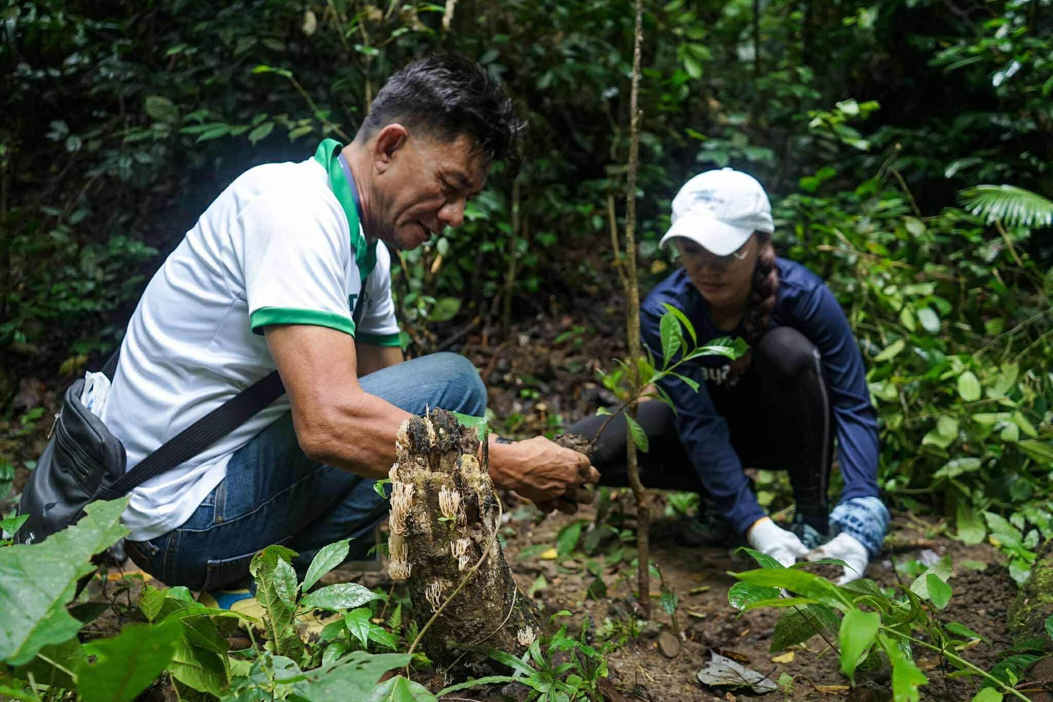 Visayan Electric plants 3,000 native trees for a greener future | Cebu ...