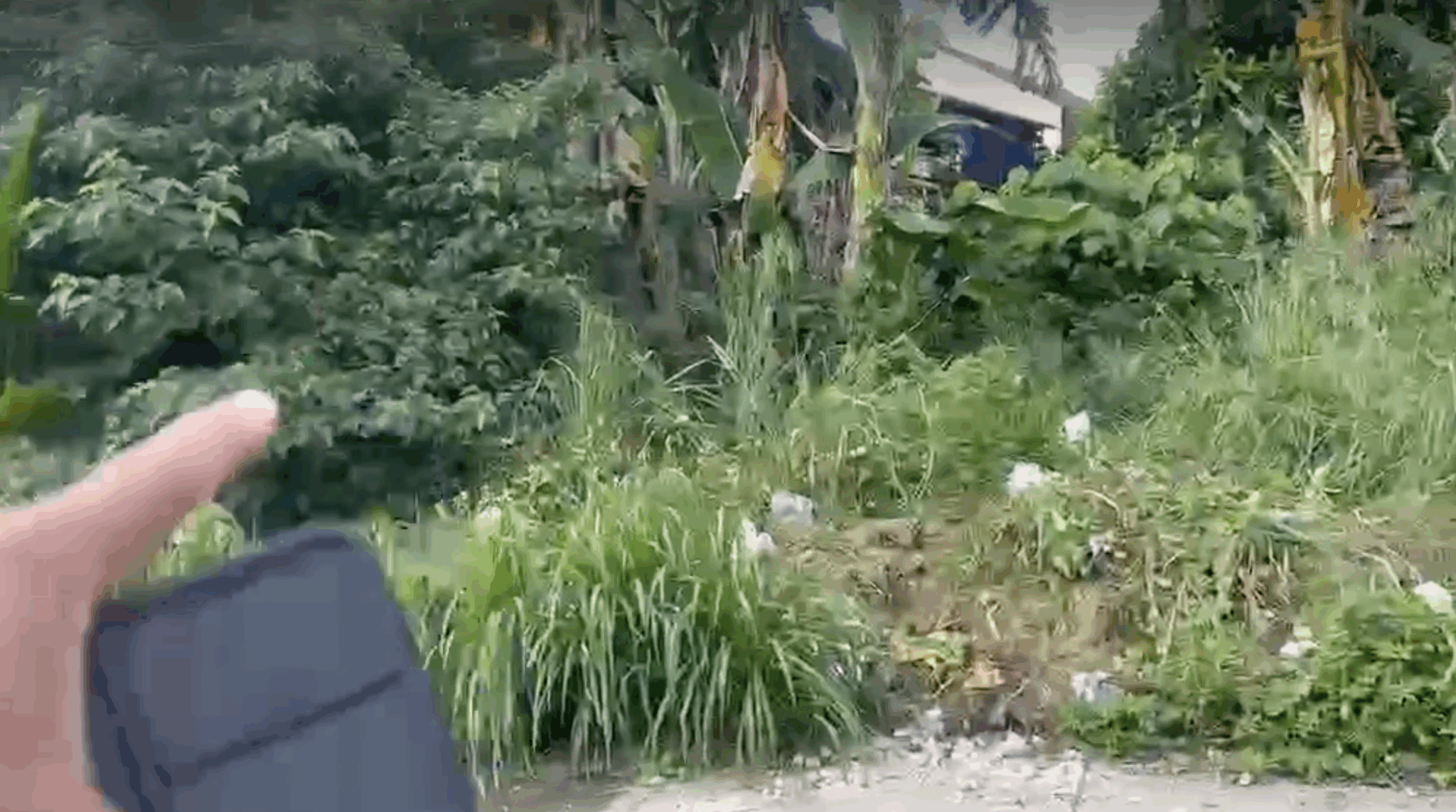 Stricter rules to be imposed at Operation Second Chance