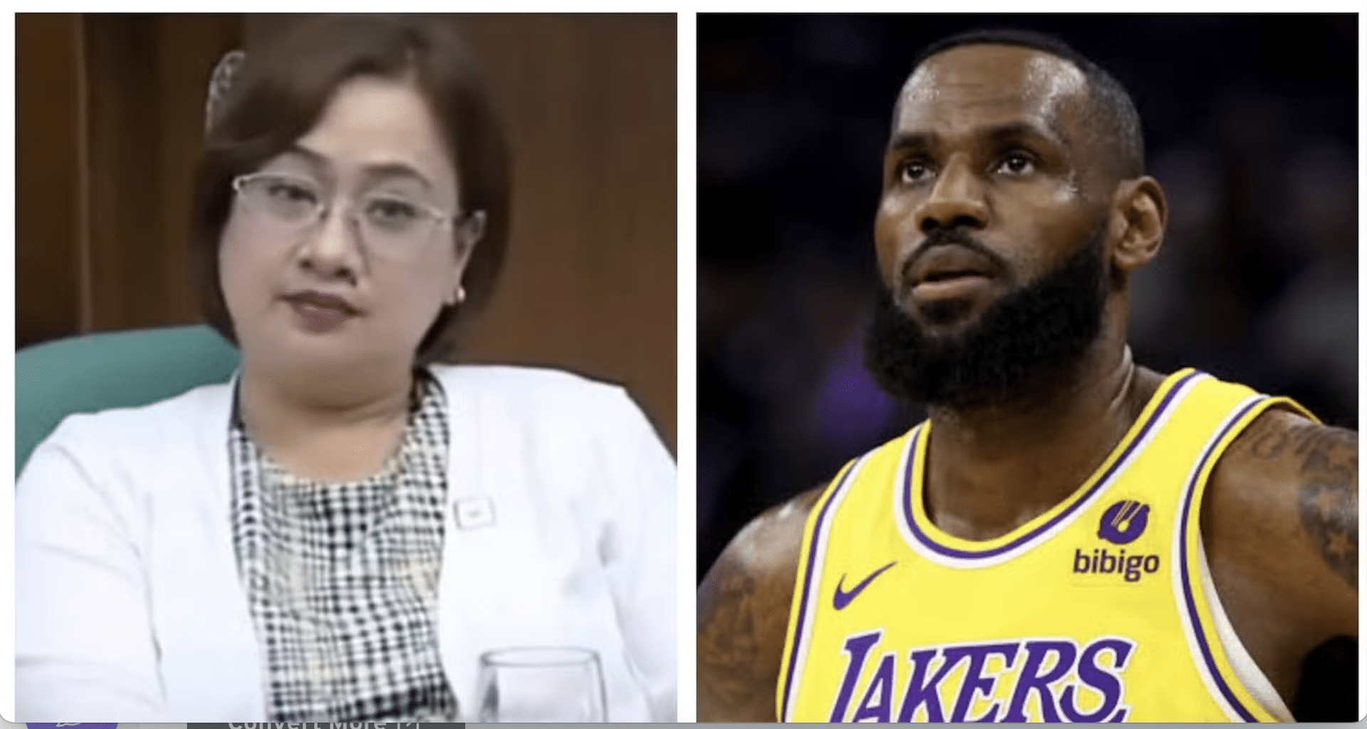 Sarah Discaya mas dako pa og kita ni NBA star Lebron James