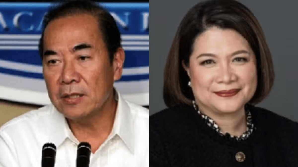 Babes Singson, SGV exec Fajardo named to independent flood probe body