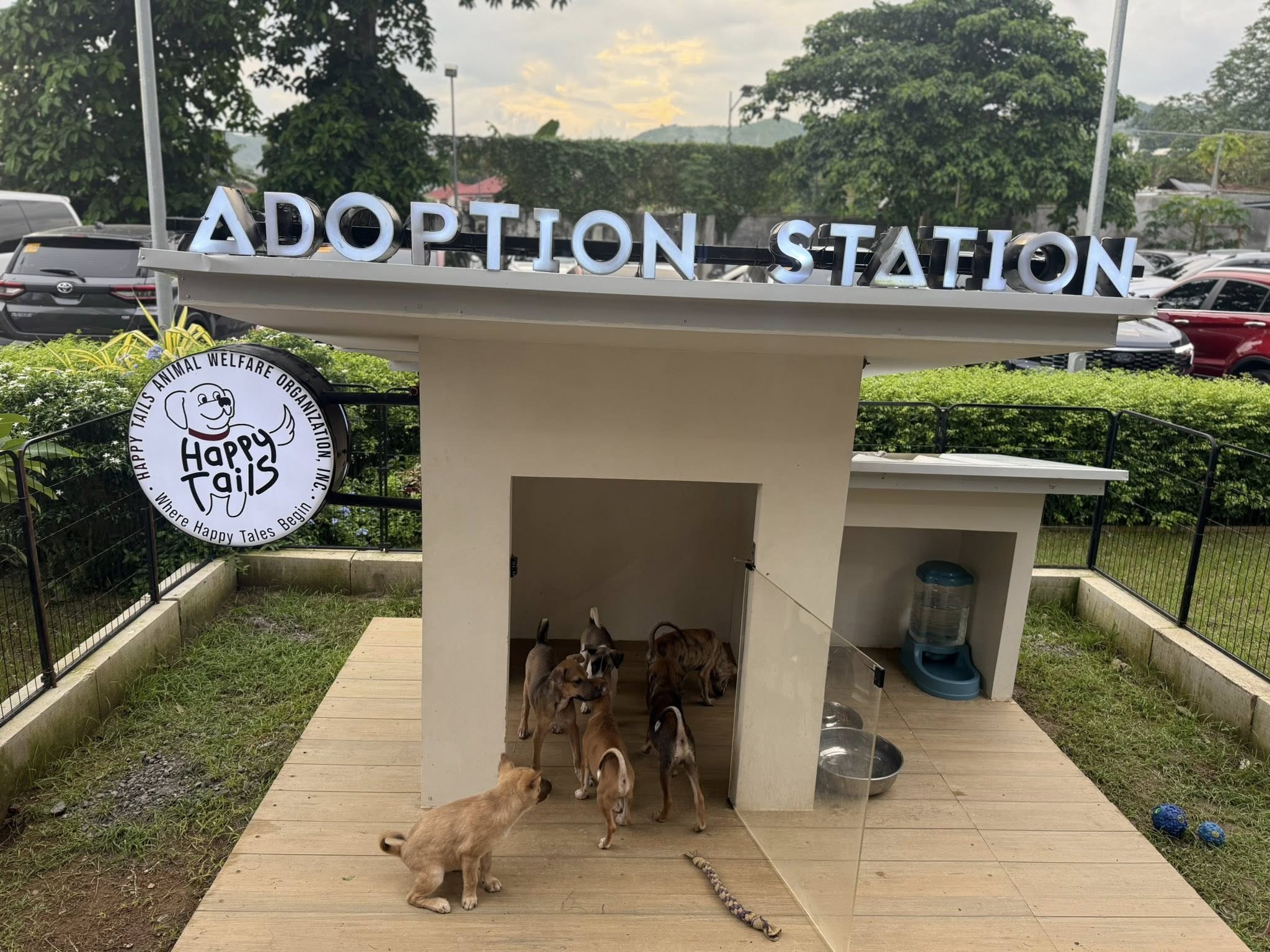 World Animal Day: Pet adoption center opens in Cebu City