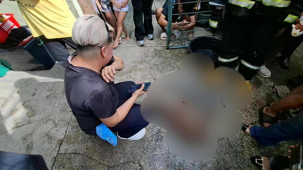 2 Cebu City fires kill Corgi, 2 other pet dogs, displace 45 individuals