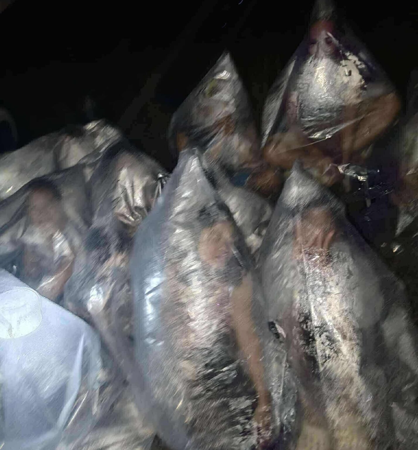 Sleeping in plastic bags: North Cebu residents struggle after quake ...