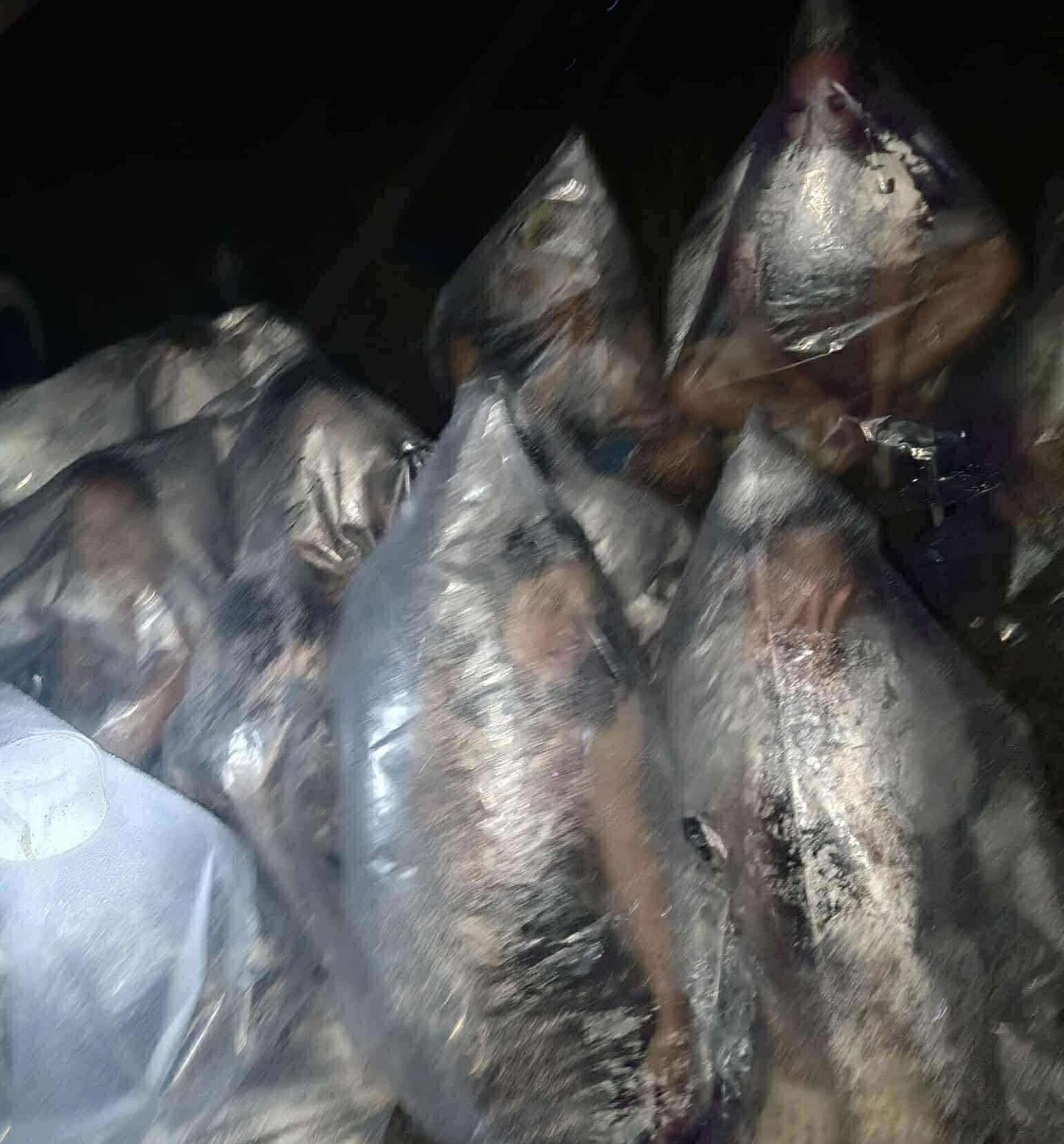 Sleeping in plastic bags: North Cebu residents struggle after quake ...