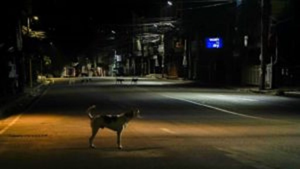 No one can predict earthquakes, not even animals — Phivolcs