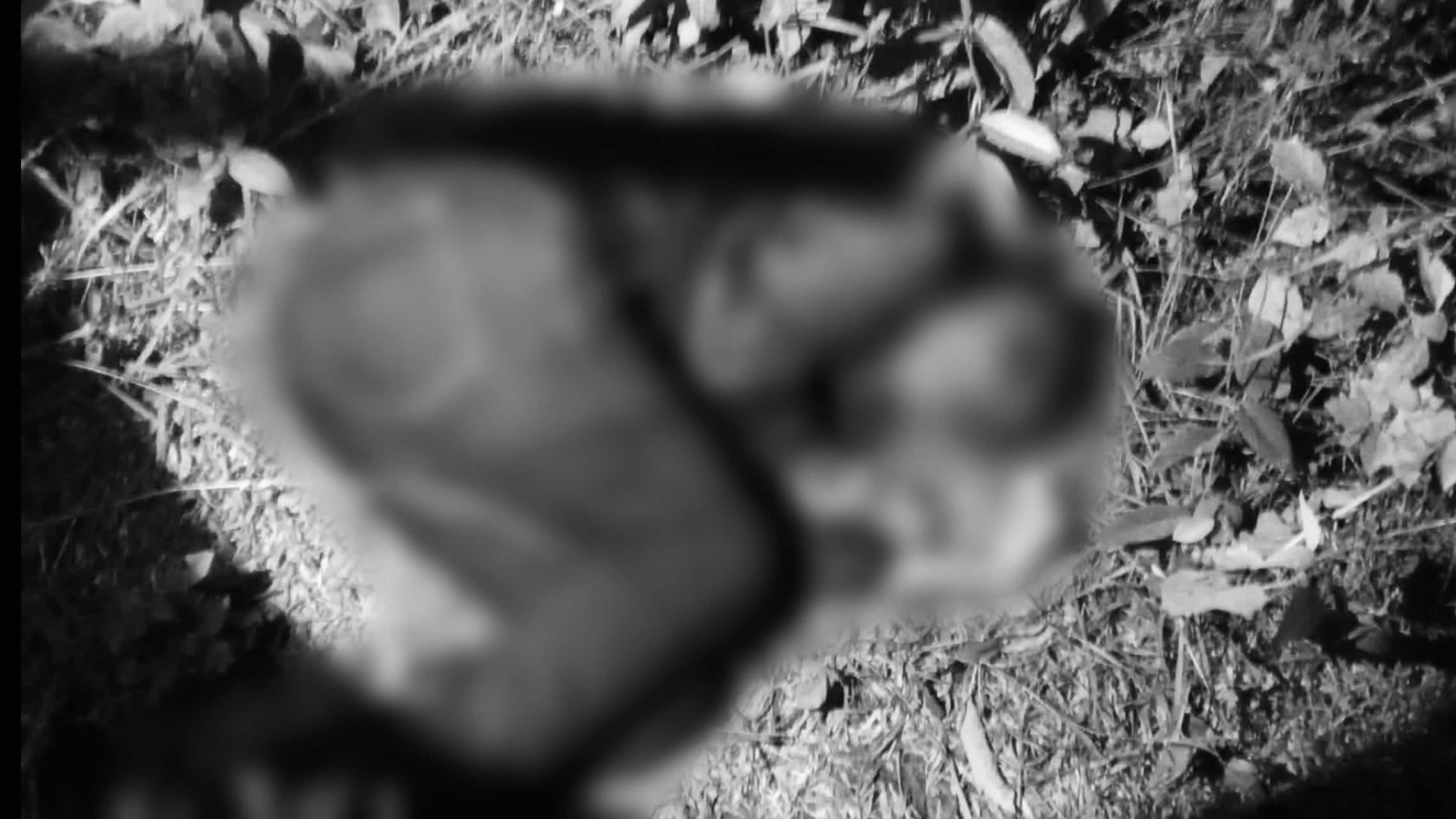 Sibonga killing: Police probe death of man on Christmas day