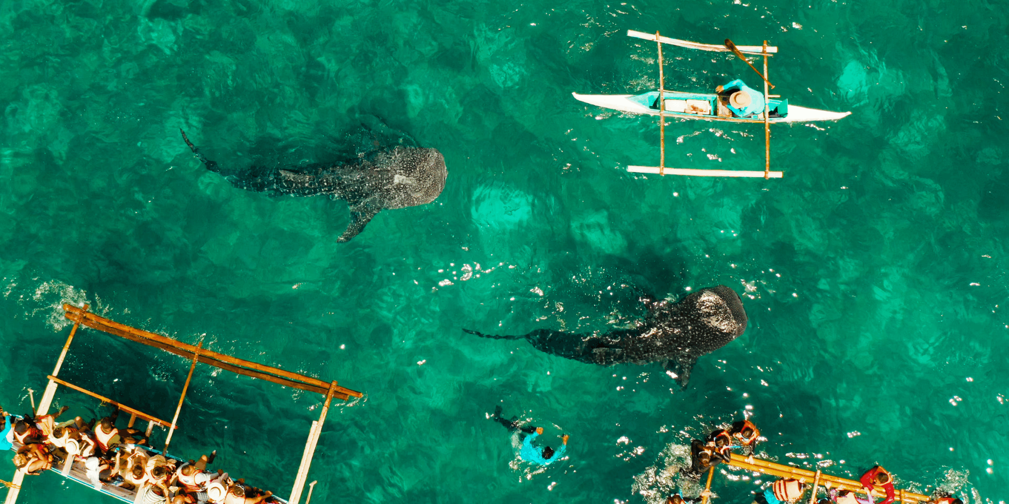 ASEAN tourism must pivot from recovery to transformative