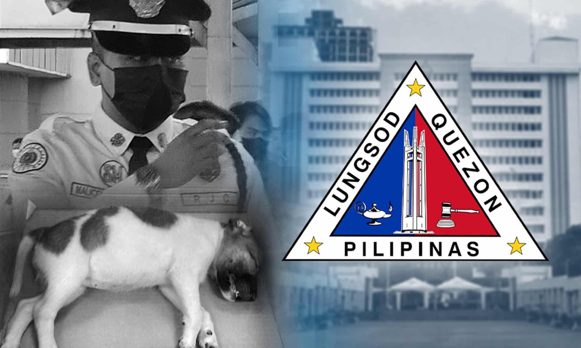 Animal protection a global concern, QC court asserts in case ruling