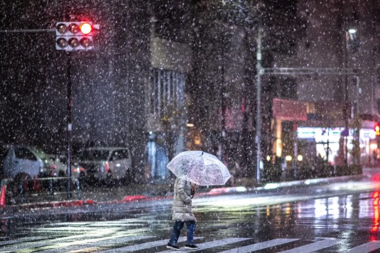 Tokyo snow season arrives 14 days later than last