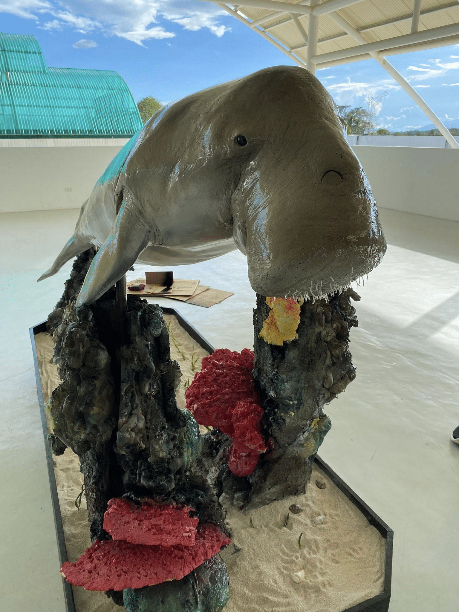 Queen August: Preserved dugong is symbol of marine conservation